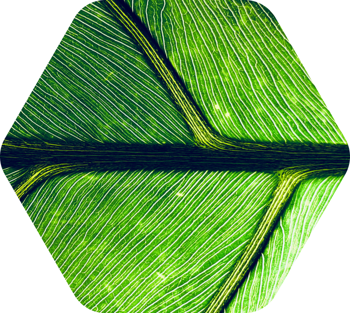 EnergyZero | Energy Technology