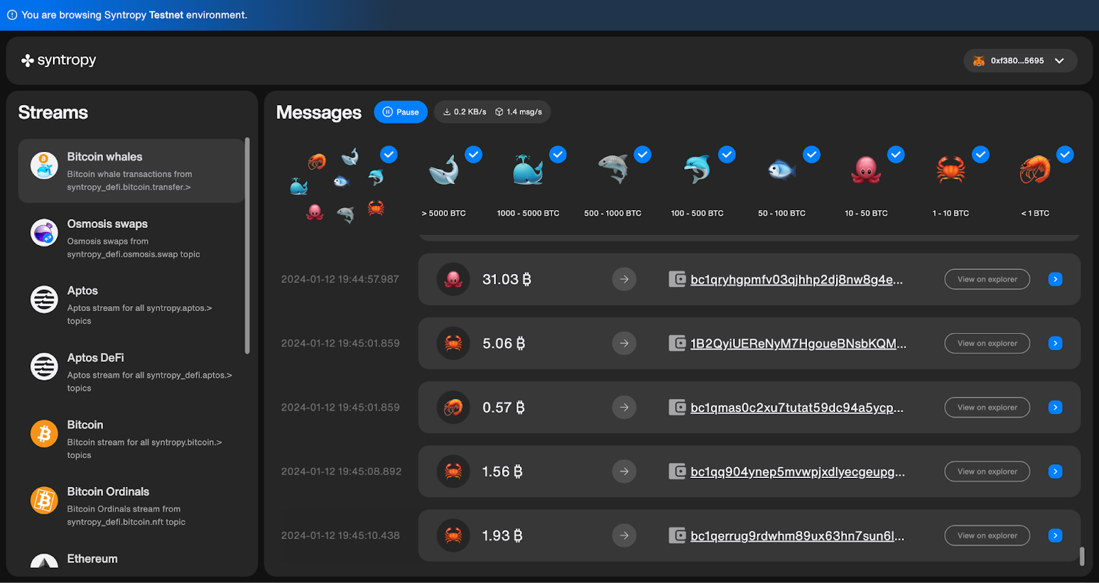 Syntropy 101: The Tech Behind the Data Layer