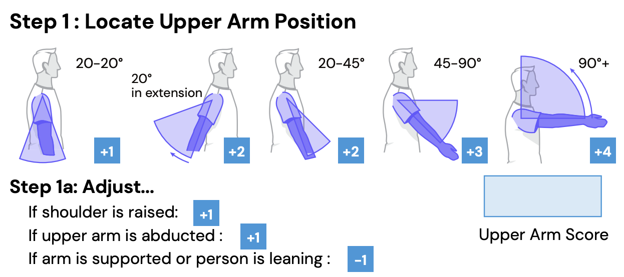 RULA: The Rapid Upper Limb Assessment - Comprehensive Overview