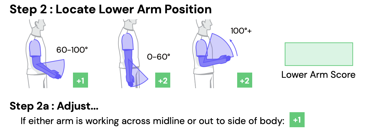 RULA: The Rapid Upper Limb Assessment - Comprehensive Overview