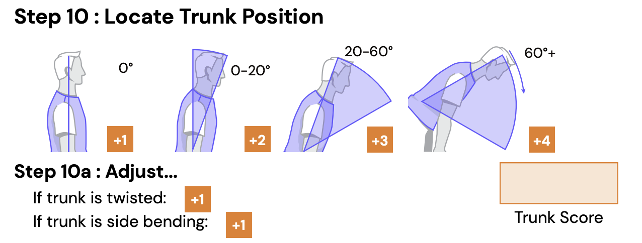 RULA: The Rapid Upper Limb Assessment - Comprehensive Overview