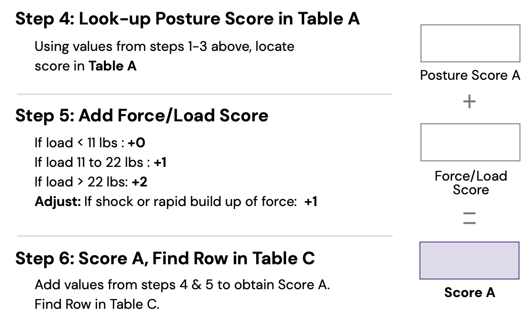 REBA: The Rapid Entire Body Assessment - Comprehensive Overview