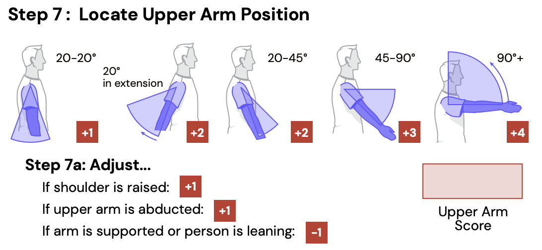 REBA: The Rapid Entire Body Assessment - Comprehensive Overview