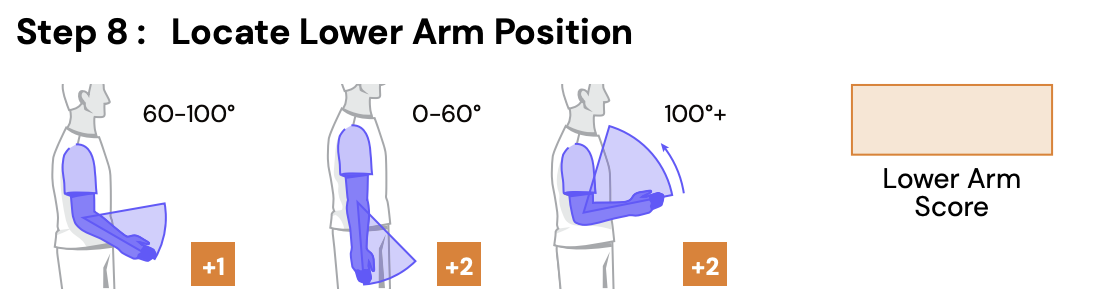 REBA: The Rapid Entire Body Assessment - Comprehensive Overview