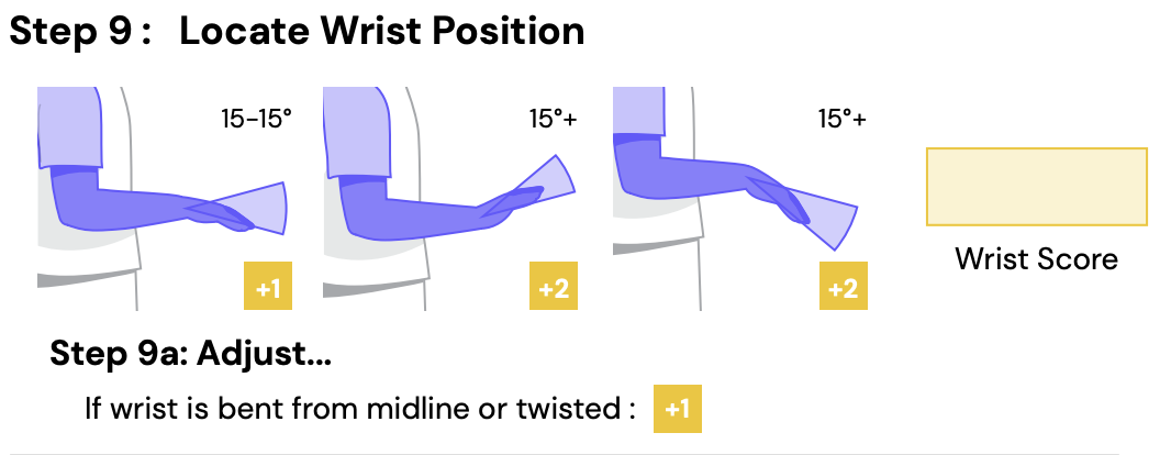 REBA: The Rapid Entire Body Assessment - Comprehensive Overview