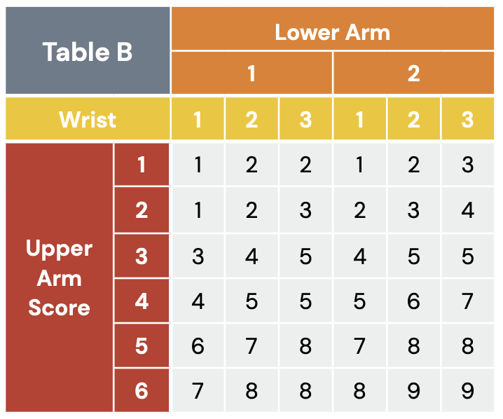 REBA: The Rapid Entire Body Assessment - Comprehensive Overview