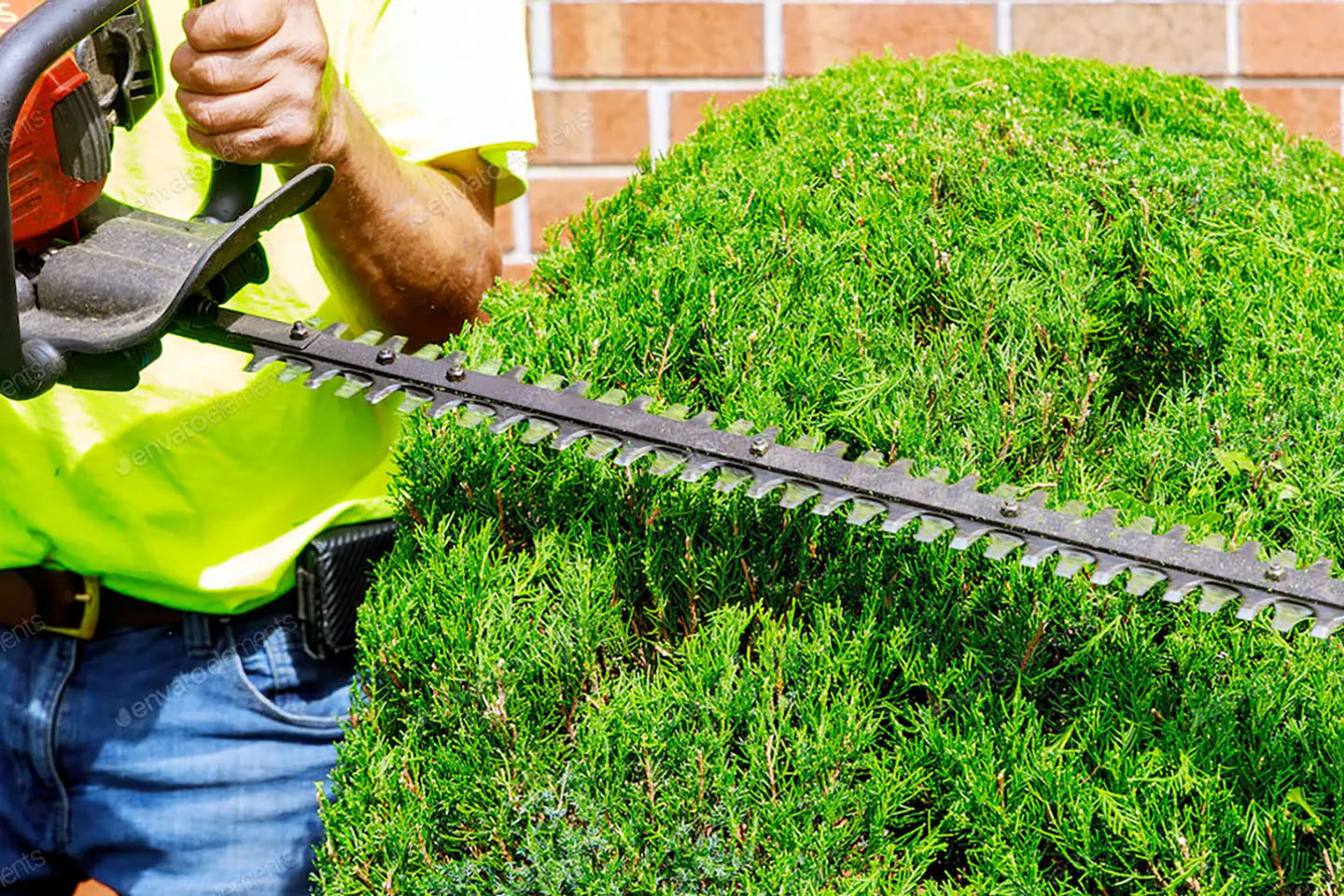 Salisbury, MD Lawn Care & Landscaping | Good Guys Landscaping