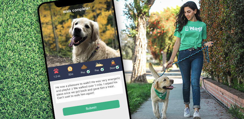 Cost Accountability Helps Wag! Navigate the Challenges of COVID | BILL