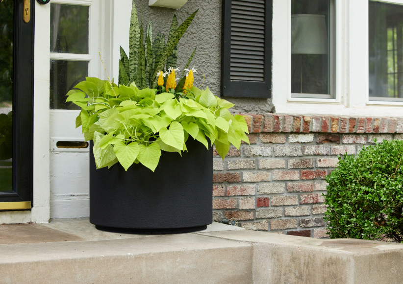 PolyStone Planters Thrives at 12x Growth | BILL