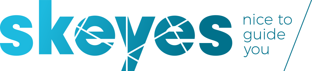 Skriptó - Your Translation Partner, E-learning specialist