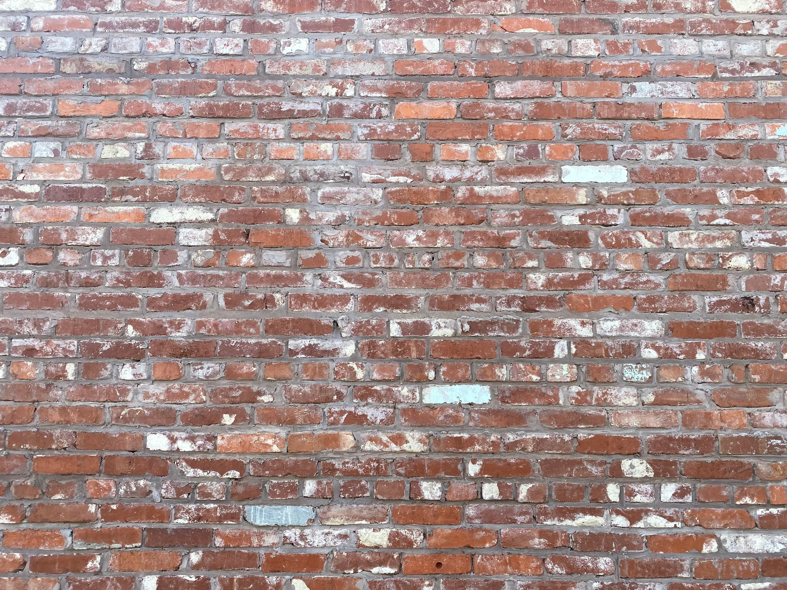 Building Culture — Homes Built to Last