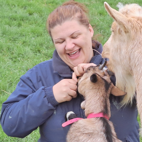 Tiny Steps Petting Farm