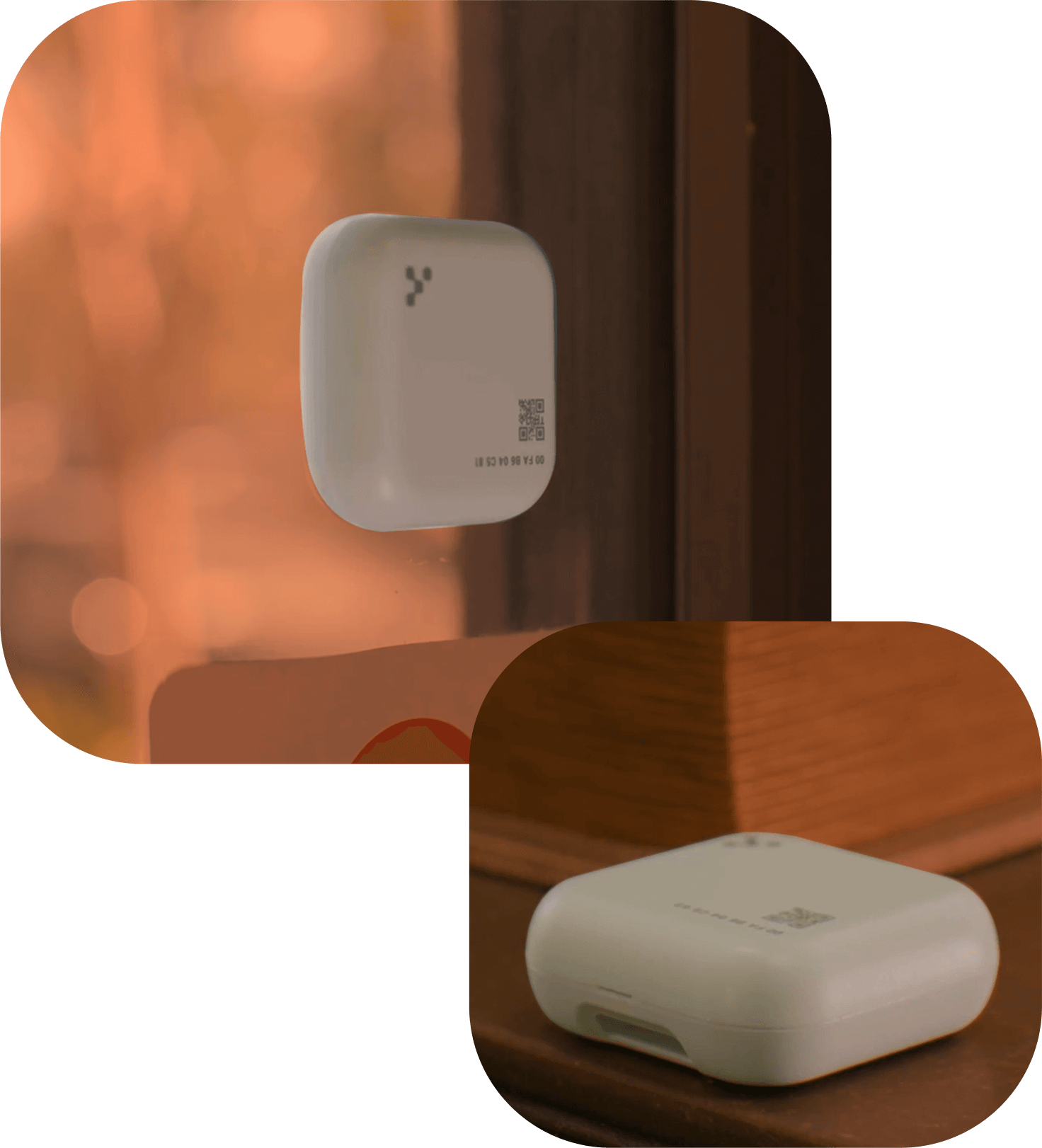 Zoo Ticketing System & Software Solutions - Anchor Operating System