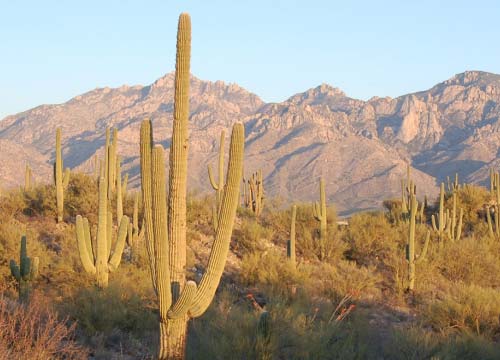 Polycharge | Careers