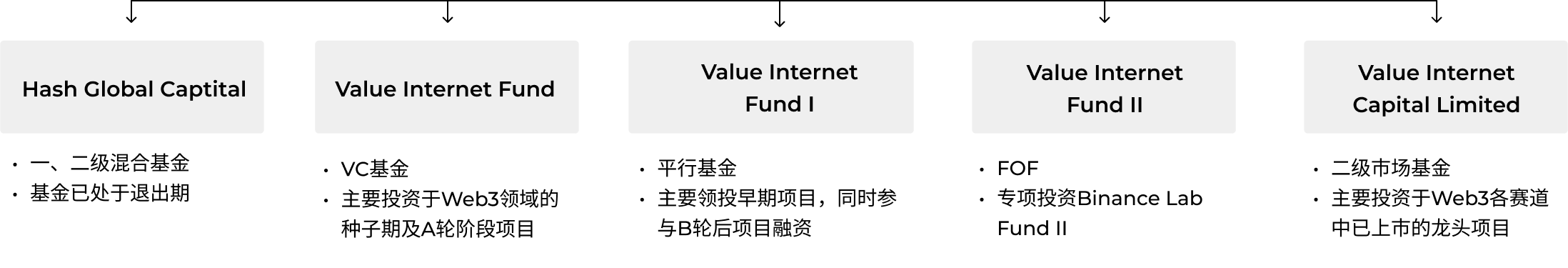 Hash Global's Portfolio