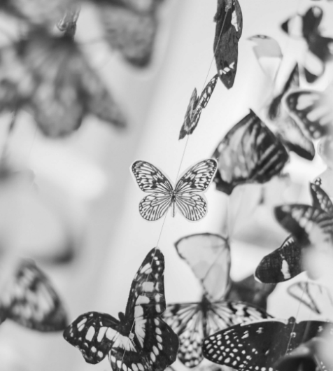 On The Page with Amber Rae | A 30-Day Writing Sprint