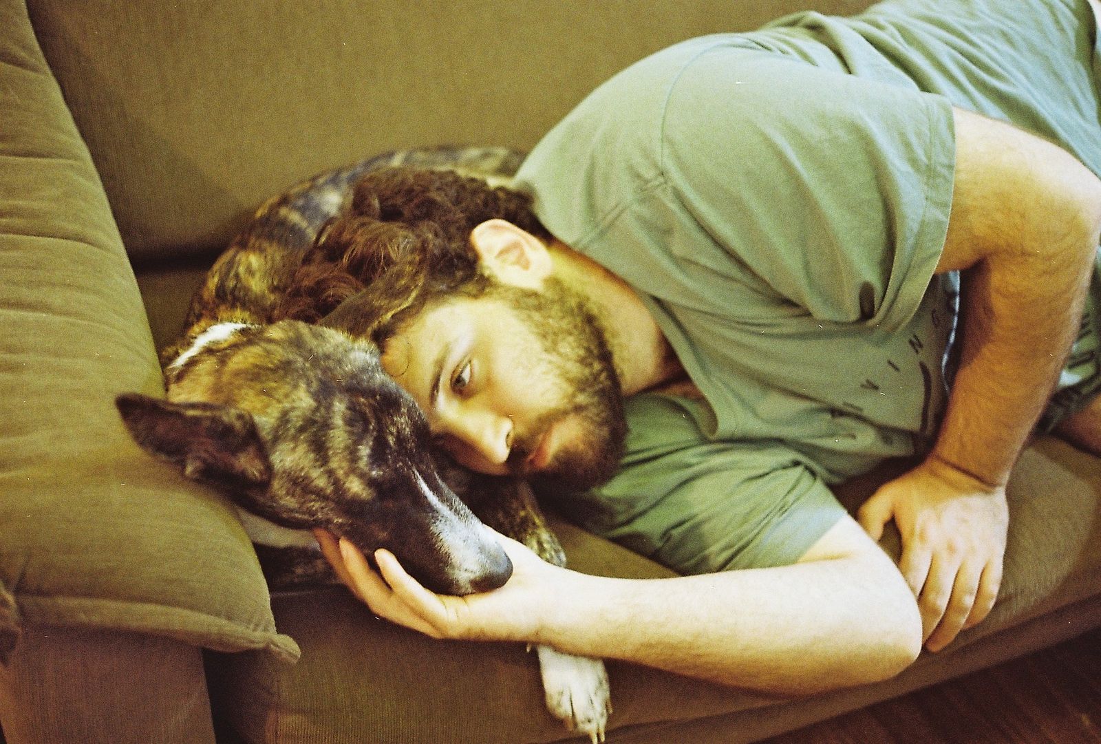 Jobs at Sentra | Check Current Openings