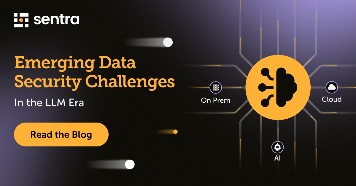 Data Security Challenges In the LLM Era | Sentra Blog