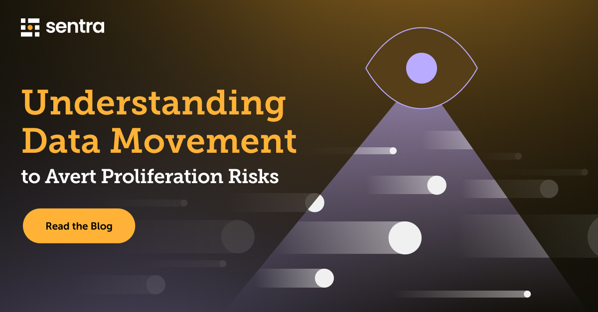 Managing Risks Data Movement Creates | Sentra