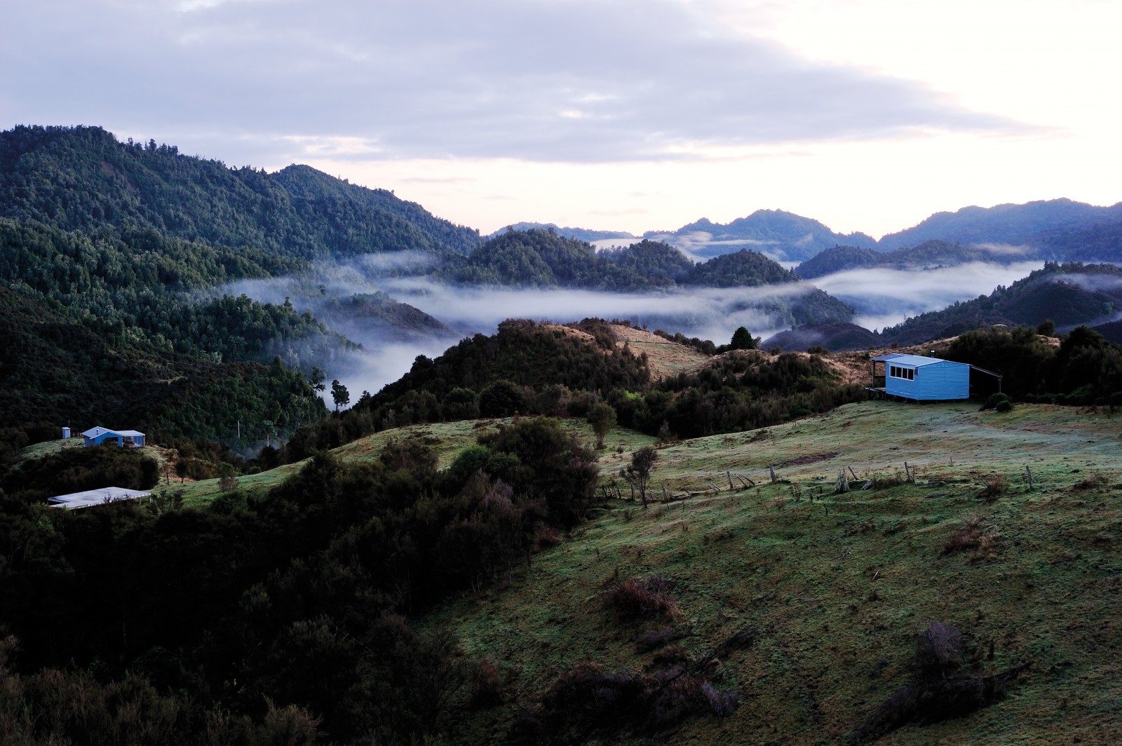 Ratonga | Services - Tūhoe Hauora