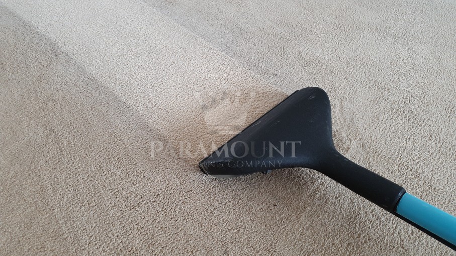What are the different carpet cleaning methods?