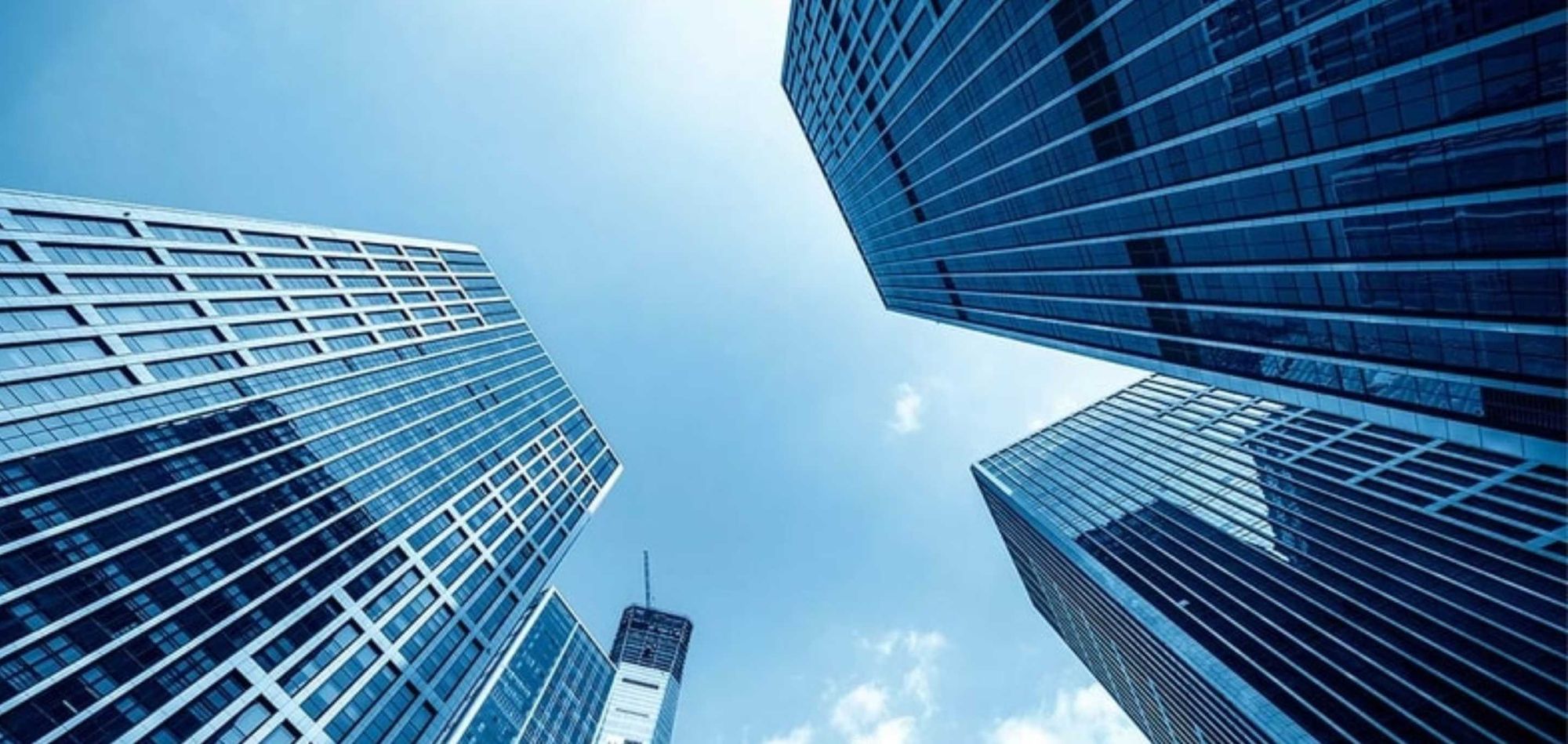 Everything You Need To Know About BESA's TR19®