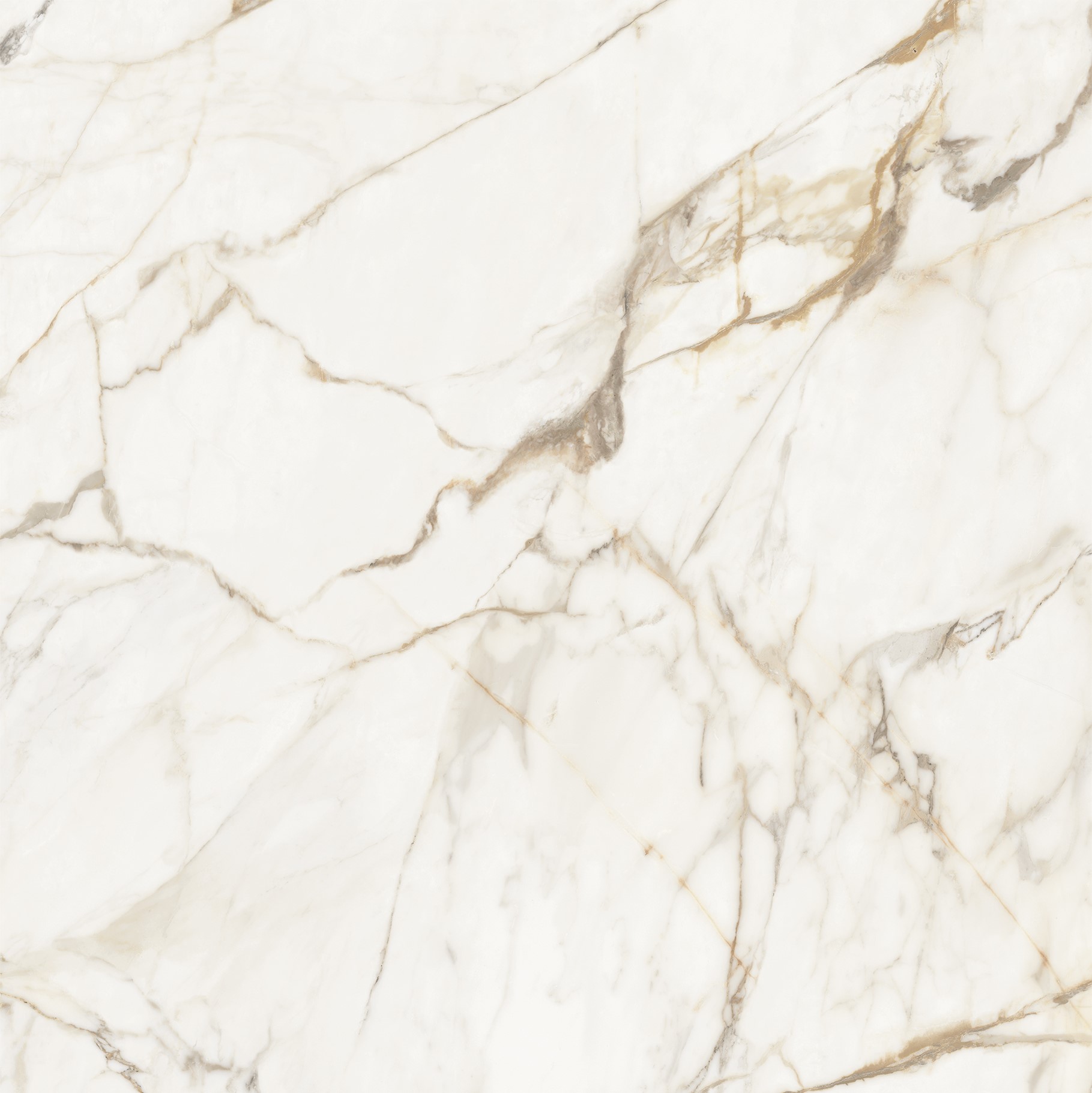 Calacatta Gold - XTONE