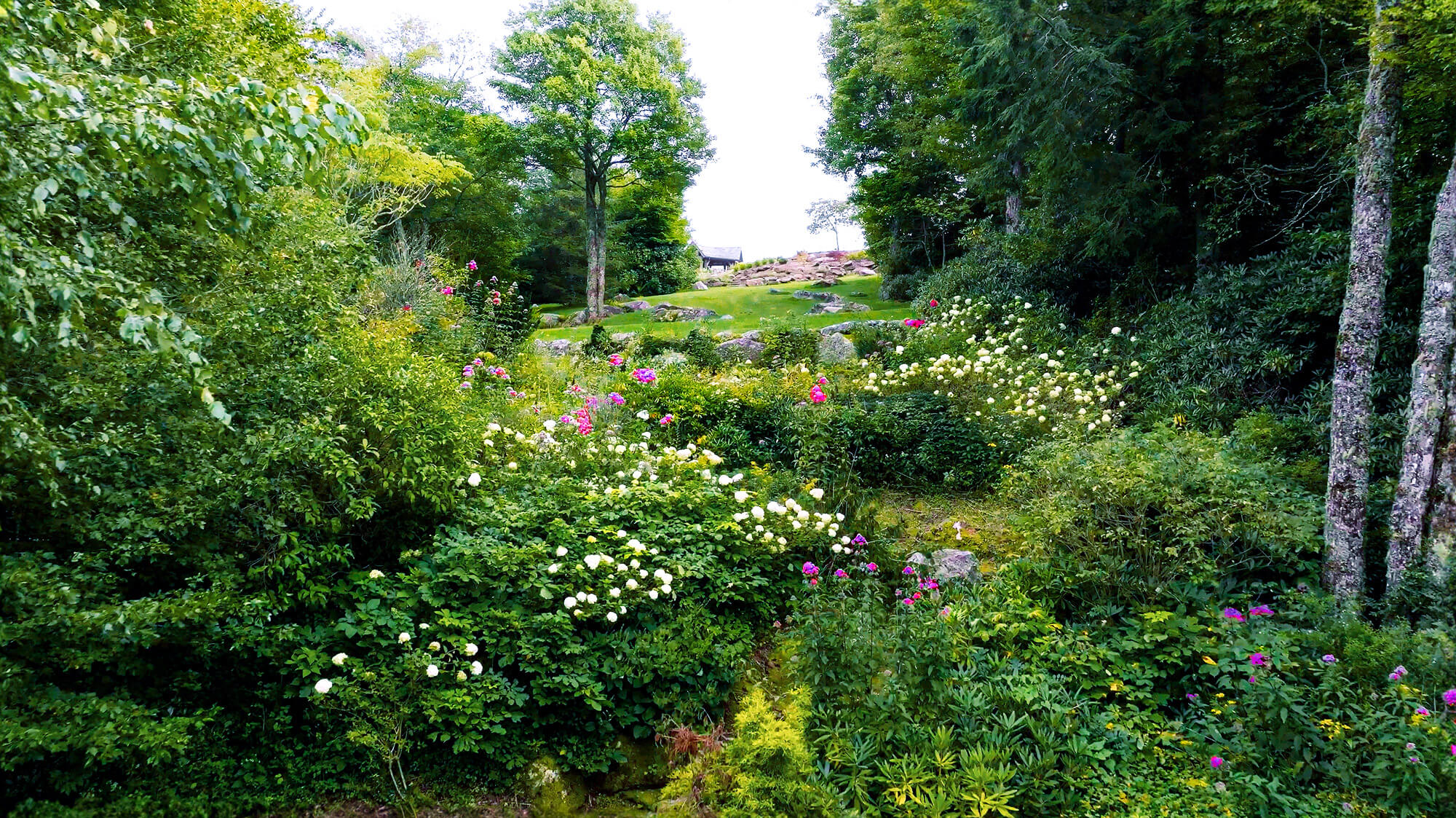 Gardens - Gallery - Sagee Manor