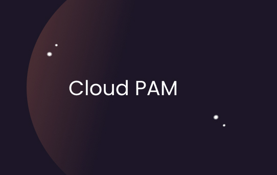 What is Cloud PAM | Entitle