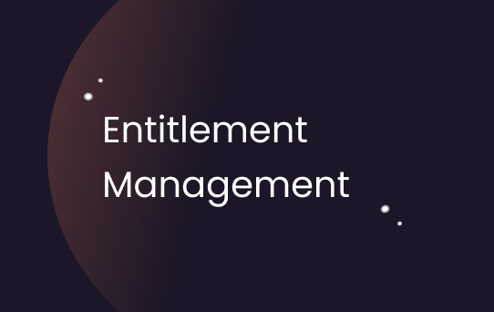 What is Entitlement Management | Entitle