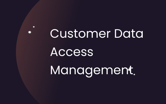 What is Customer Data Access Management | Entitle