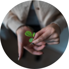 KPMG Acceleris - VC Fundraising Services