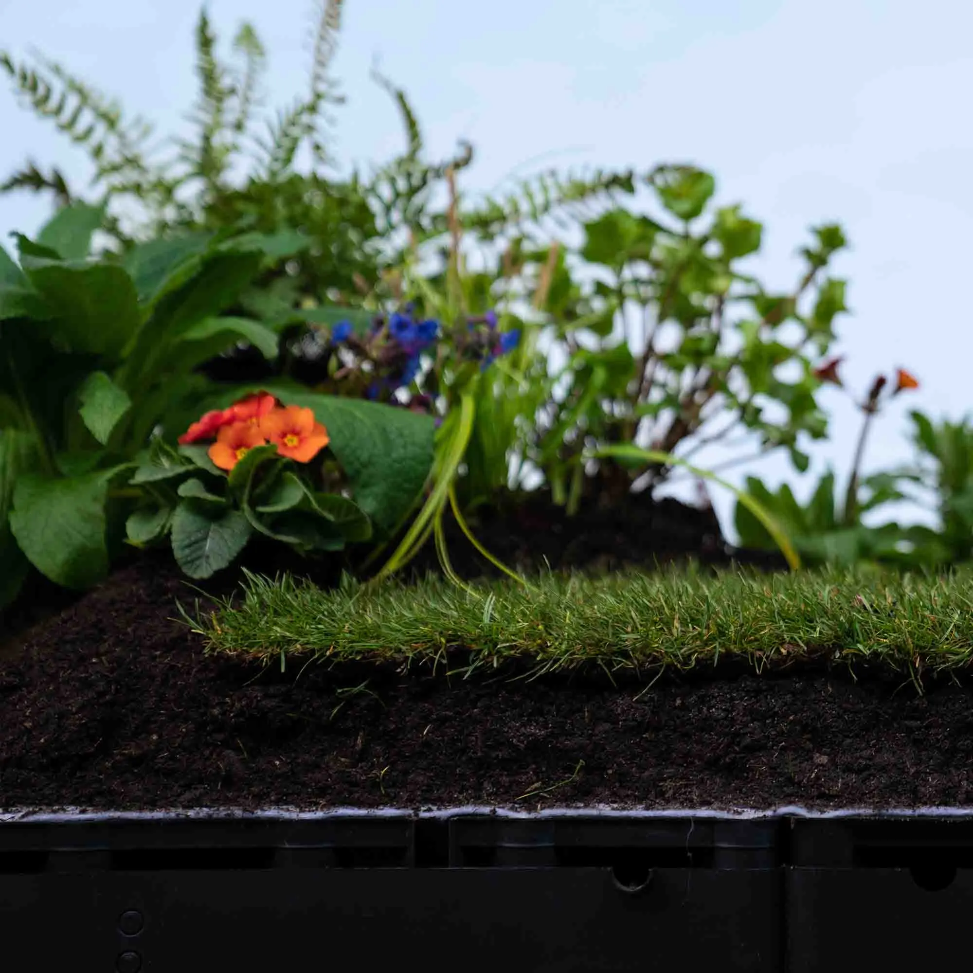 Rainup - Rainup groene geveltuinen