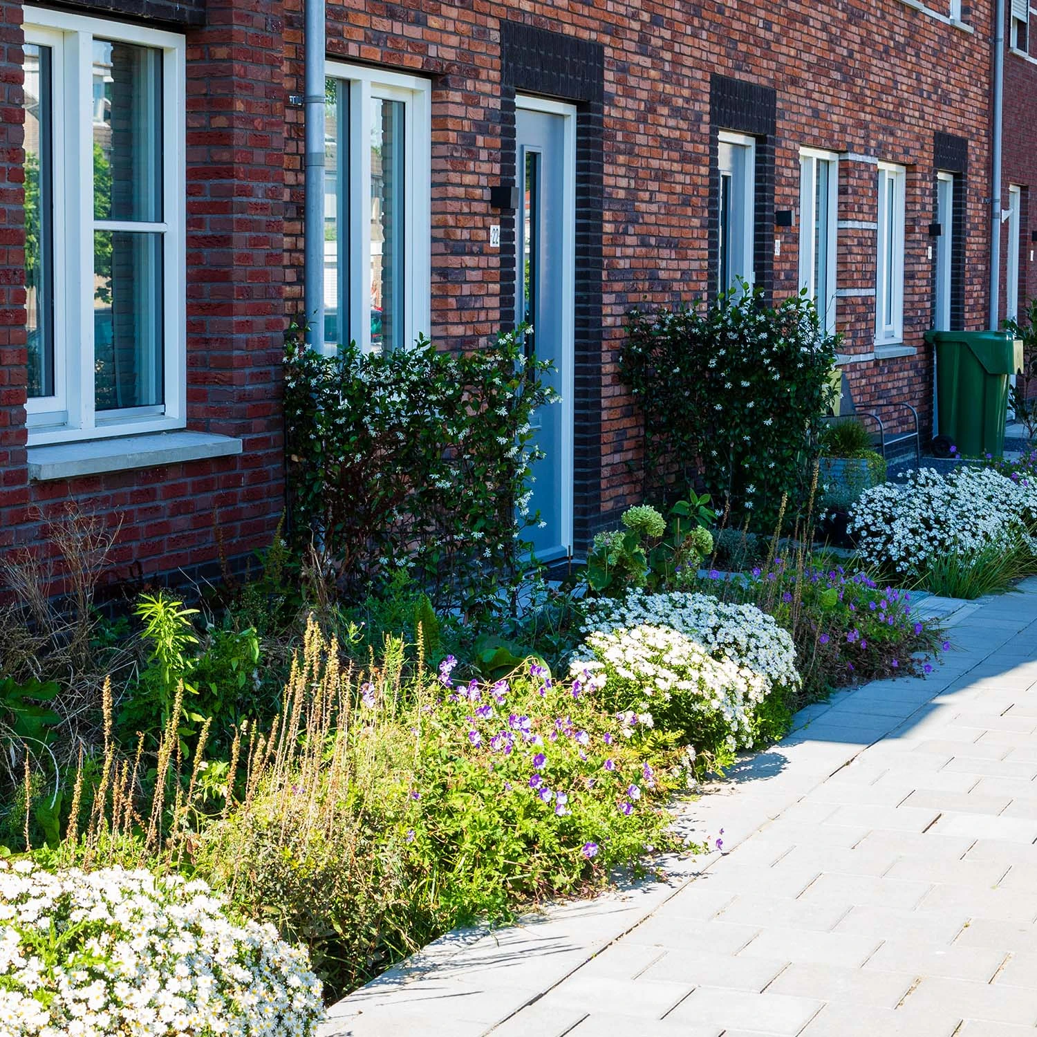 Rainup - Let's build on water