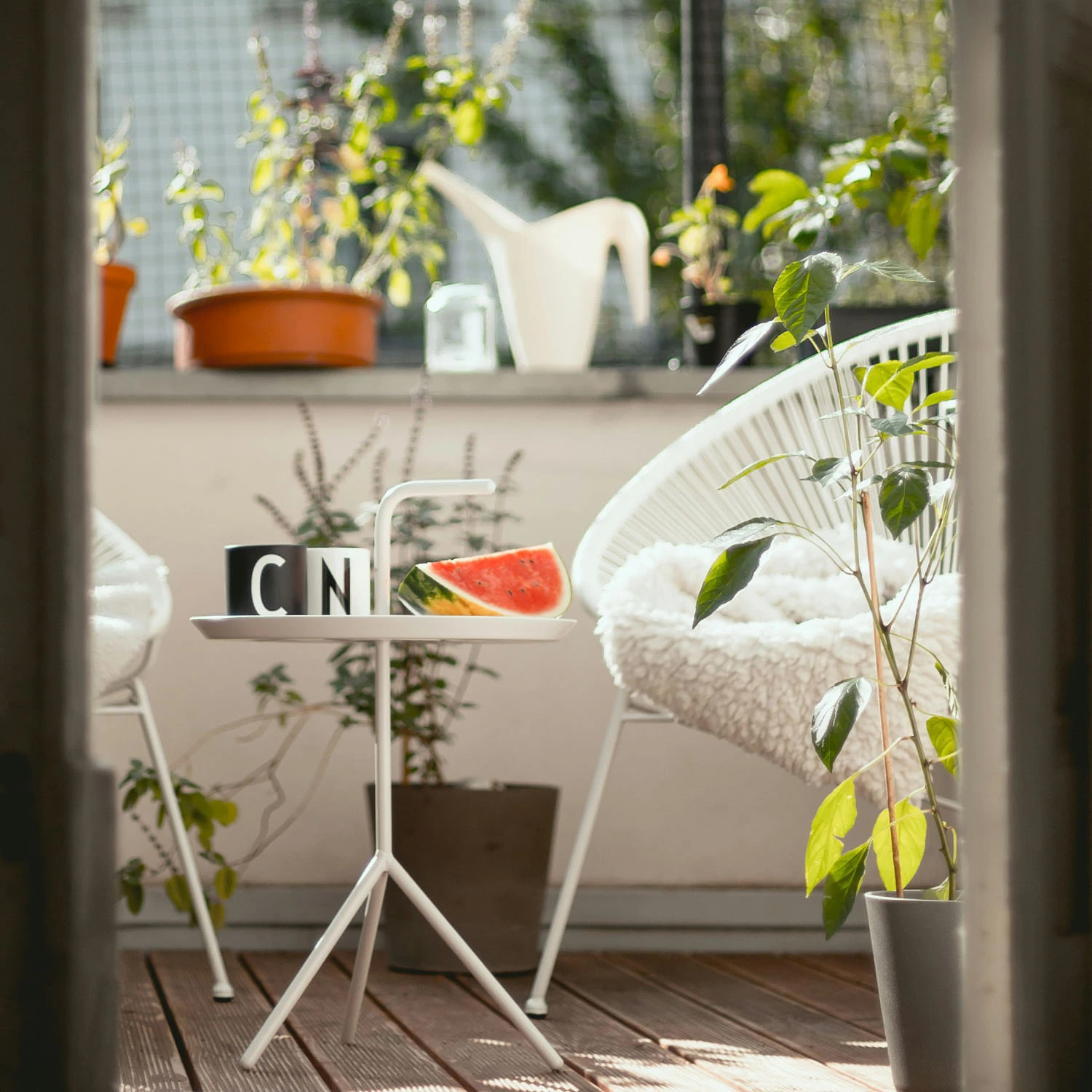 Rainup - Let's build on water