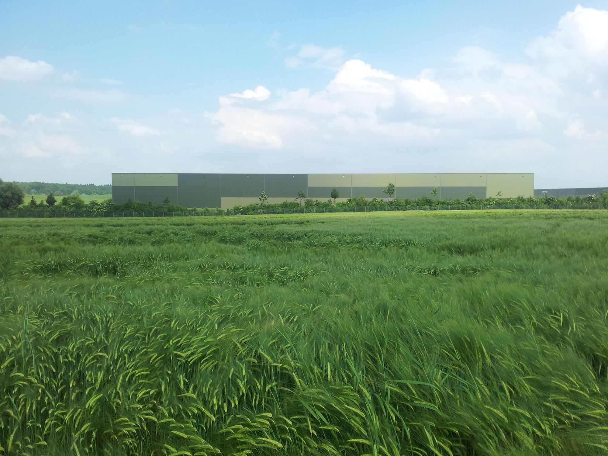 Greenfield Development