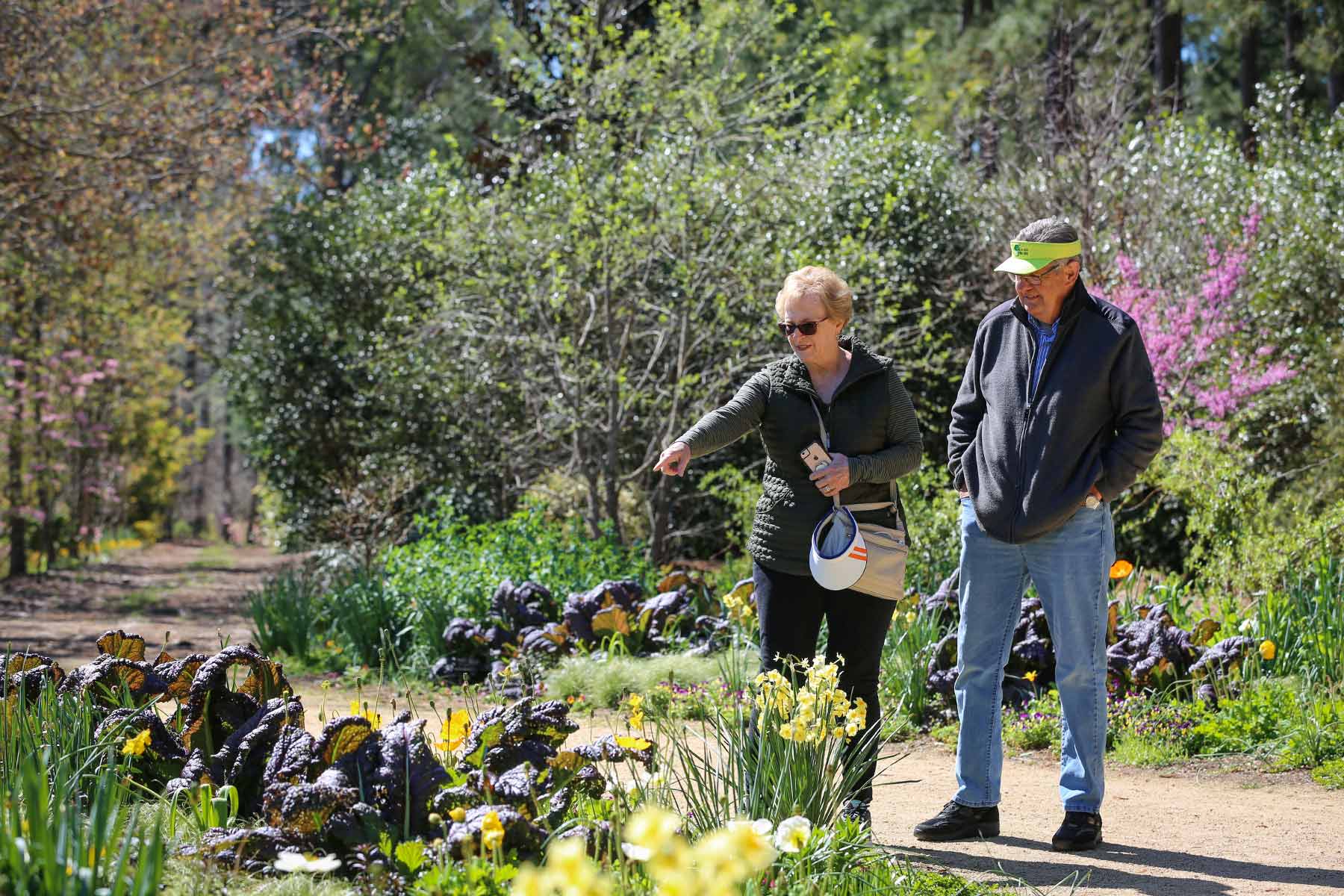 Tours | Moore Farms Botanical Garden