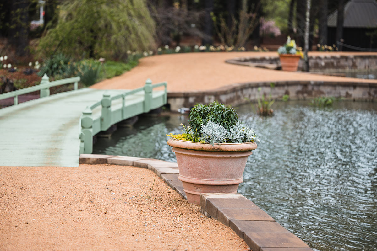 About MFBG | Moore Farms Botanical Garden