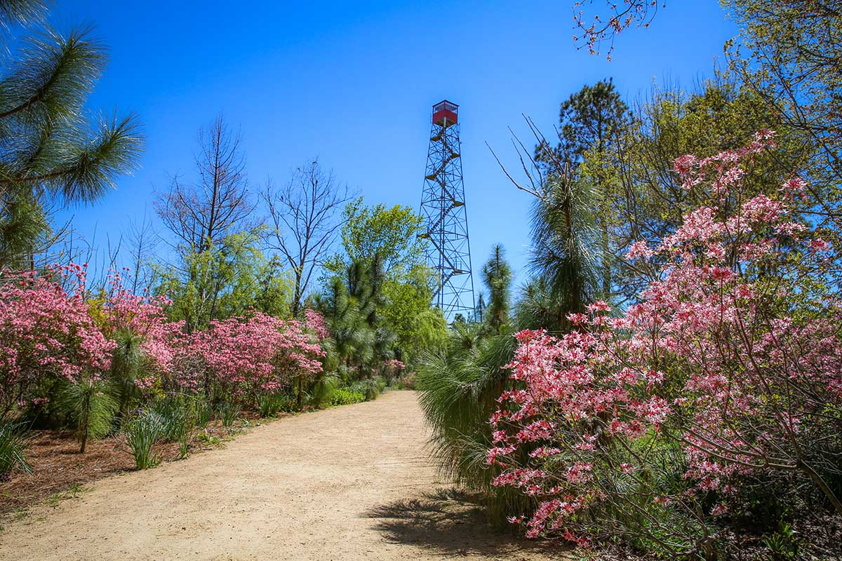 Facility Rentals | Moore Farms Botanical Garden