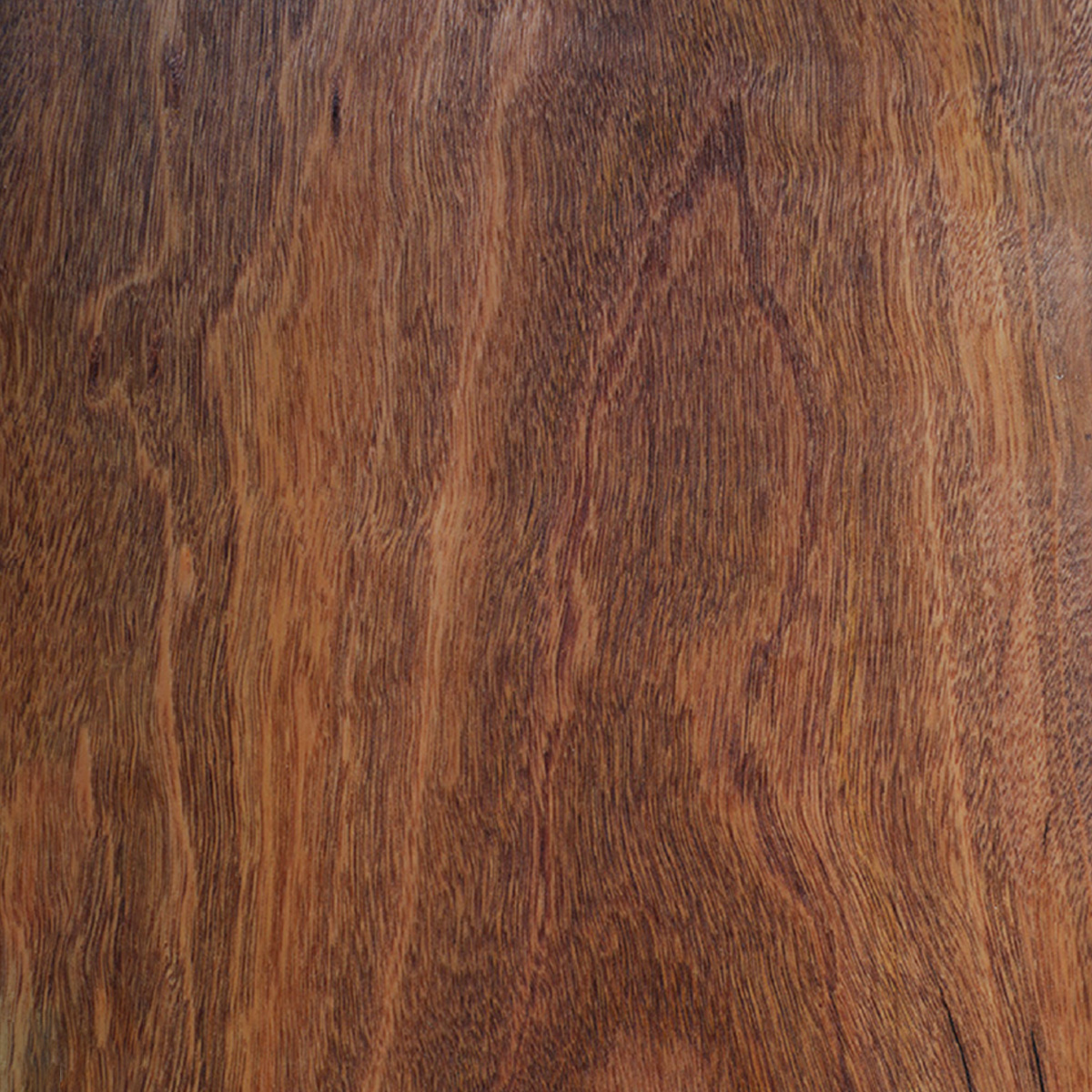 Spotted Gum | Worldwide Timber Traders