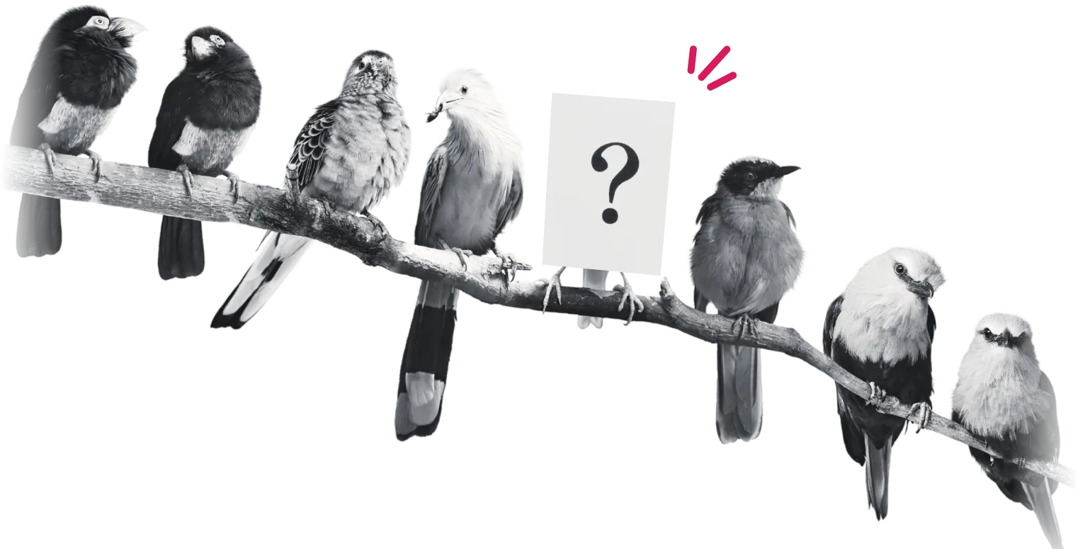 Workwise – Finde die passenden Menschen für deine Jobs