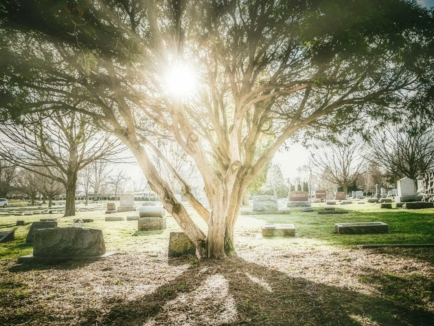 Case Study: Cemetery Management Software for UPGREAT AG