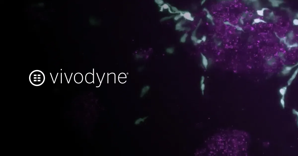 Vivodyne - Human Data Before The Clinic
