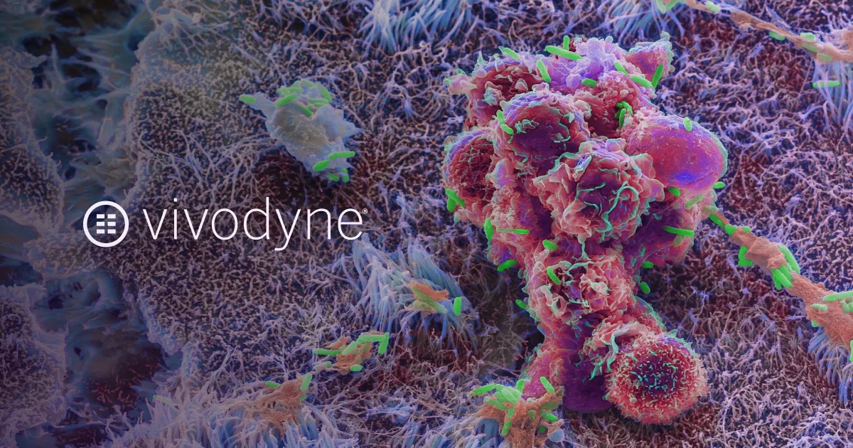 Vivodyne - Human Organ Models