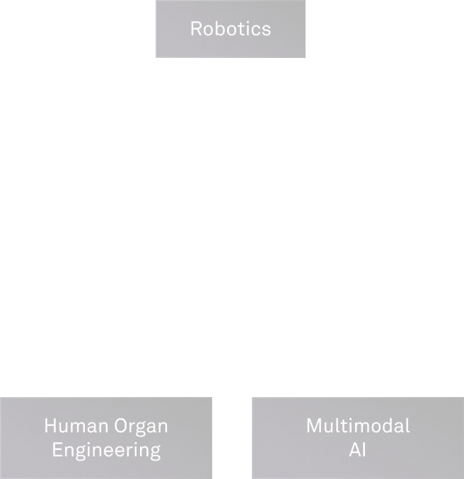 Vivodyne - Our Platform