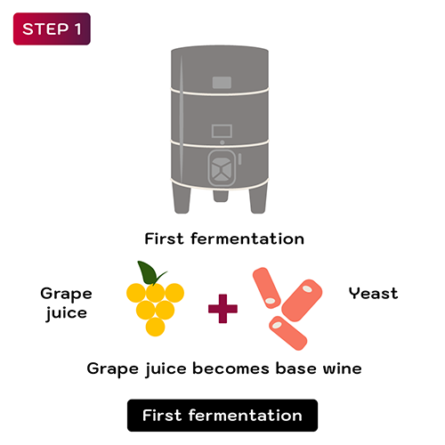 Wine Types | Champagne: The In-depth GuidebyMassimo Vignaiolo