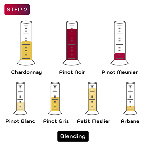 Wine Types | Champagne: The In-depth GuidebyMassimo Vignaiolo