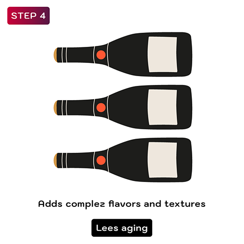 Wine Types | Champagne: The In-depth GuidebyMassimo Vignaiolo