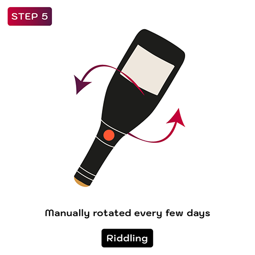 Wine Types | Champagne: The In-depth GuidebyMassimo Vignaiolo