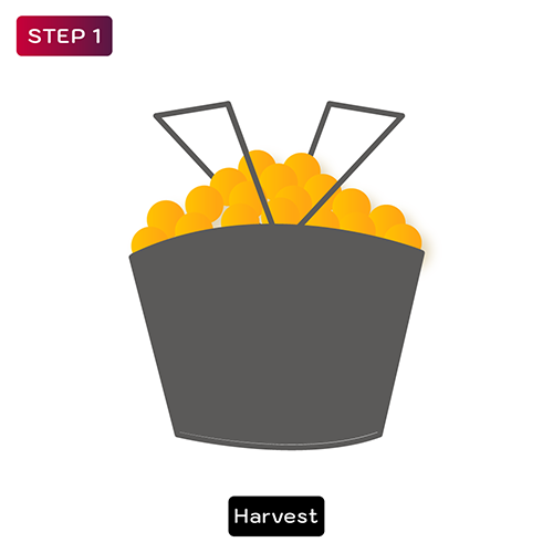 Wine Types | Cava: The In-depth GuidebyMassimo Vignaiolo